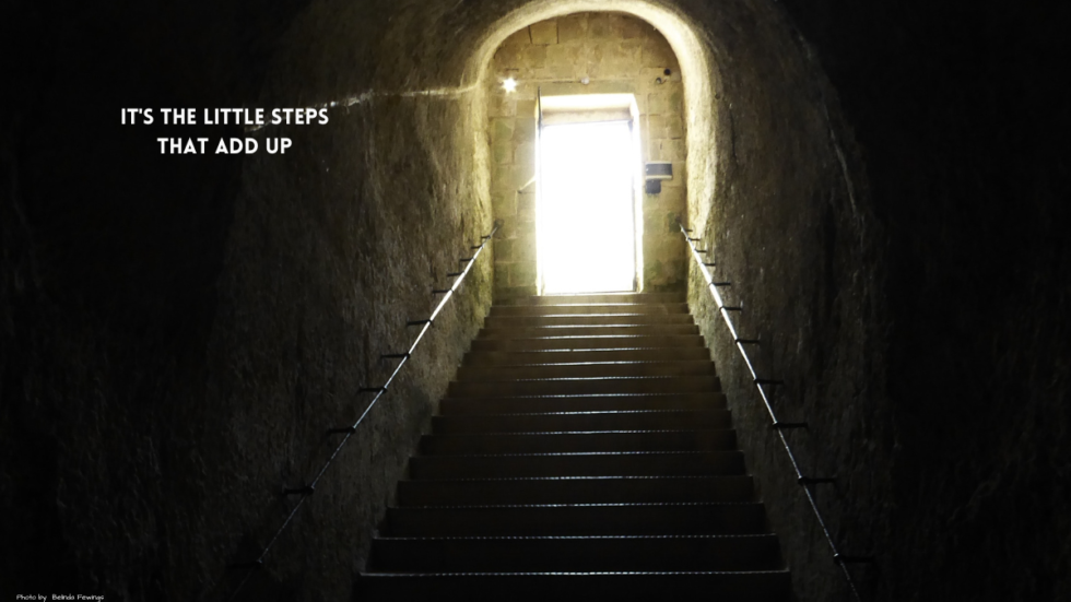 The Power of Daily Habits: How "Shavings Make a Pile" Shapes Success